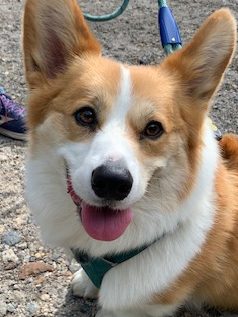 Kate Sykes for District Five